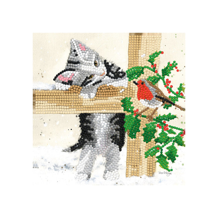 Bree Merryn Fine Art Diamond Art Card Kits